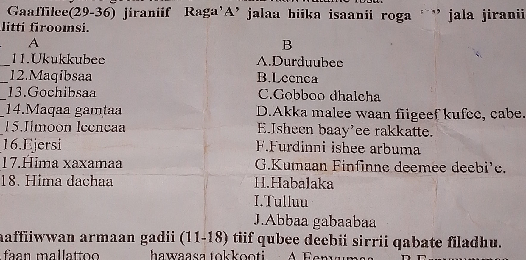 Gaaffilee(29-36) jiraniif Raga'A' jalaa | StudyX