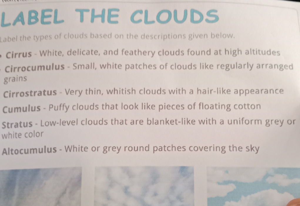 Label the types of clouds based on the | StudyX