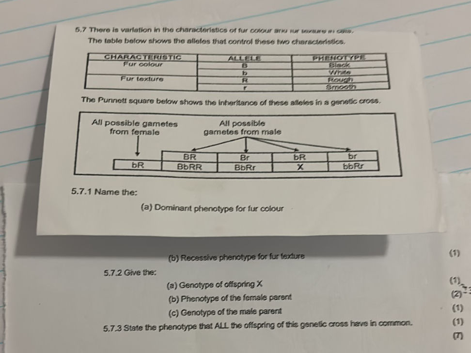 5.7 There is variation in the | StudyX
