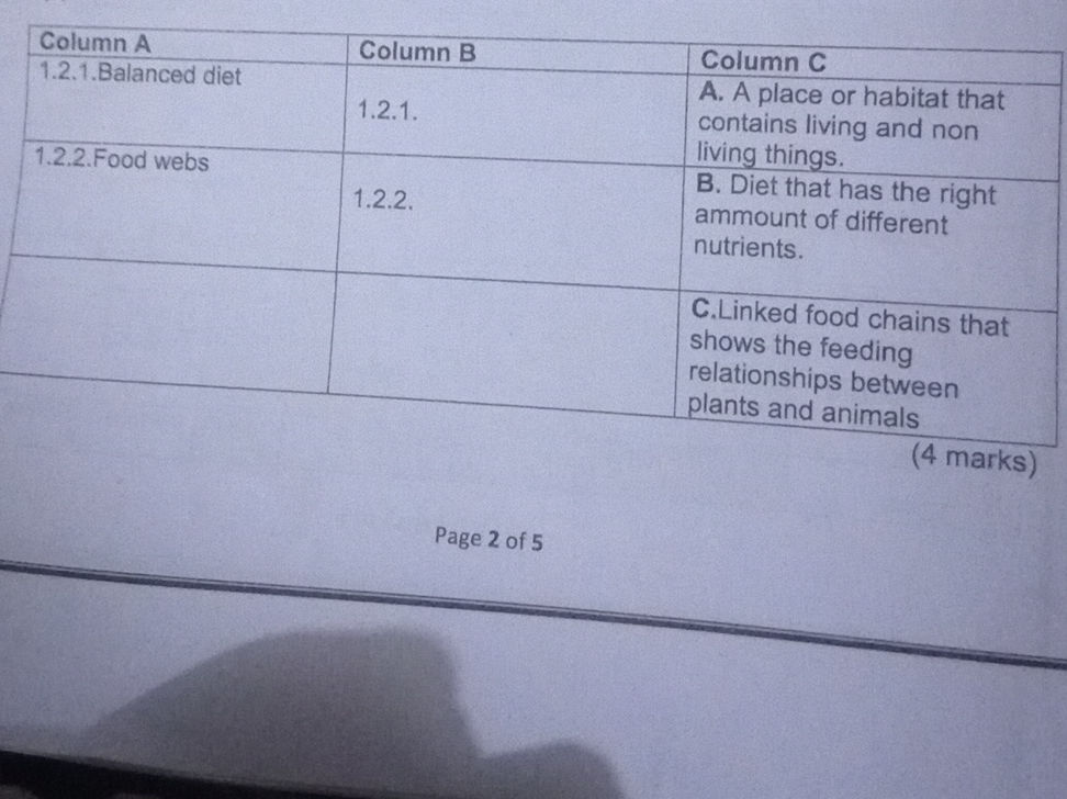Match the items in Column A with the | StudyX