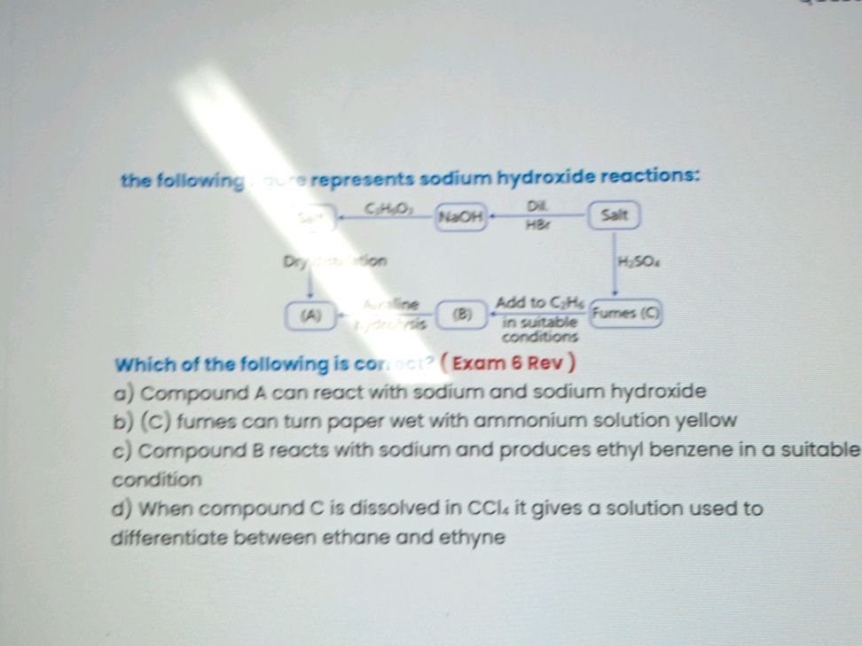 the following qure represents sodium | StudyX
