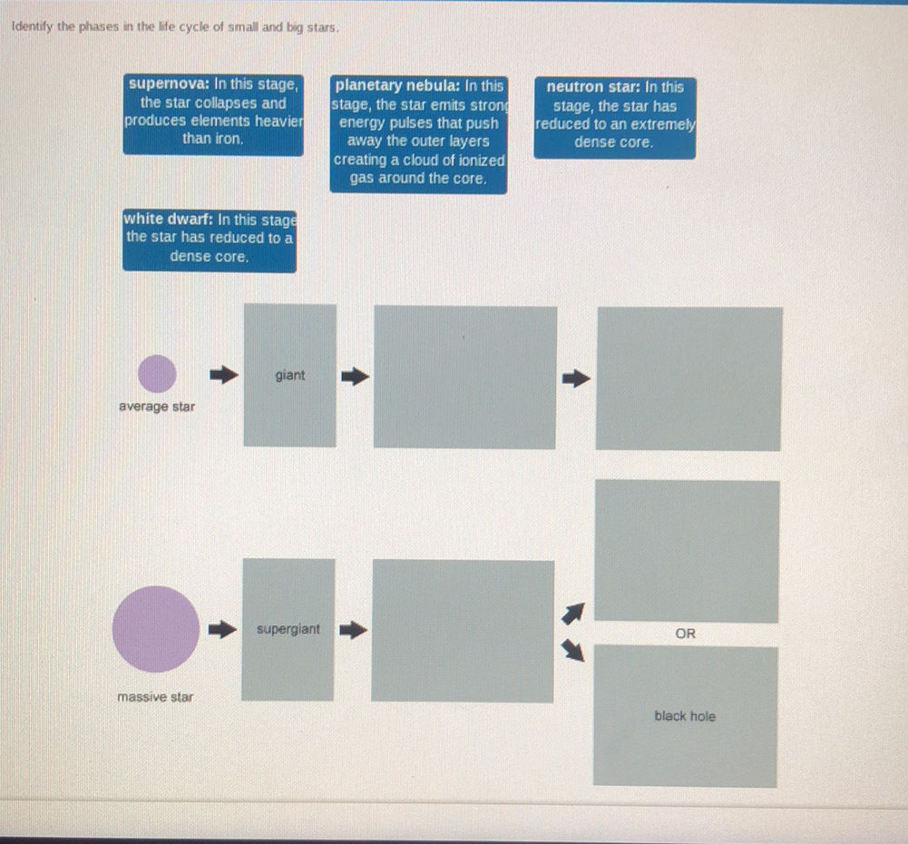 Identify the phases in the life cycle of | StudyX