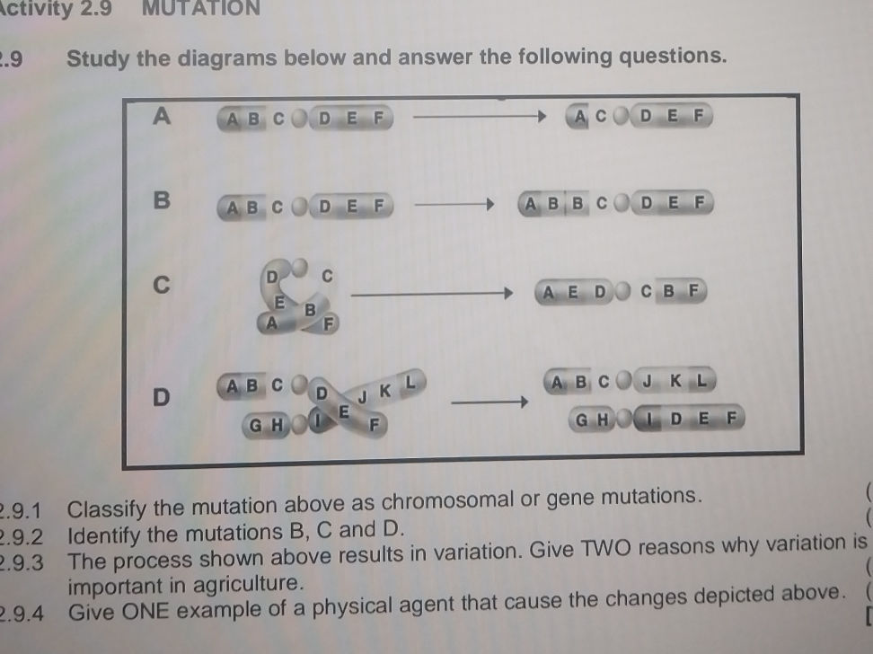 Study the diagrams below and answer the | StudyX