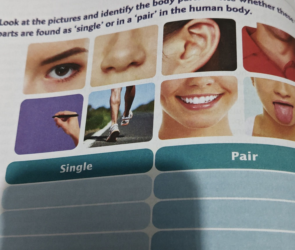 Look at the pictures and identify the body | StudyX