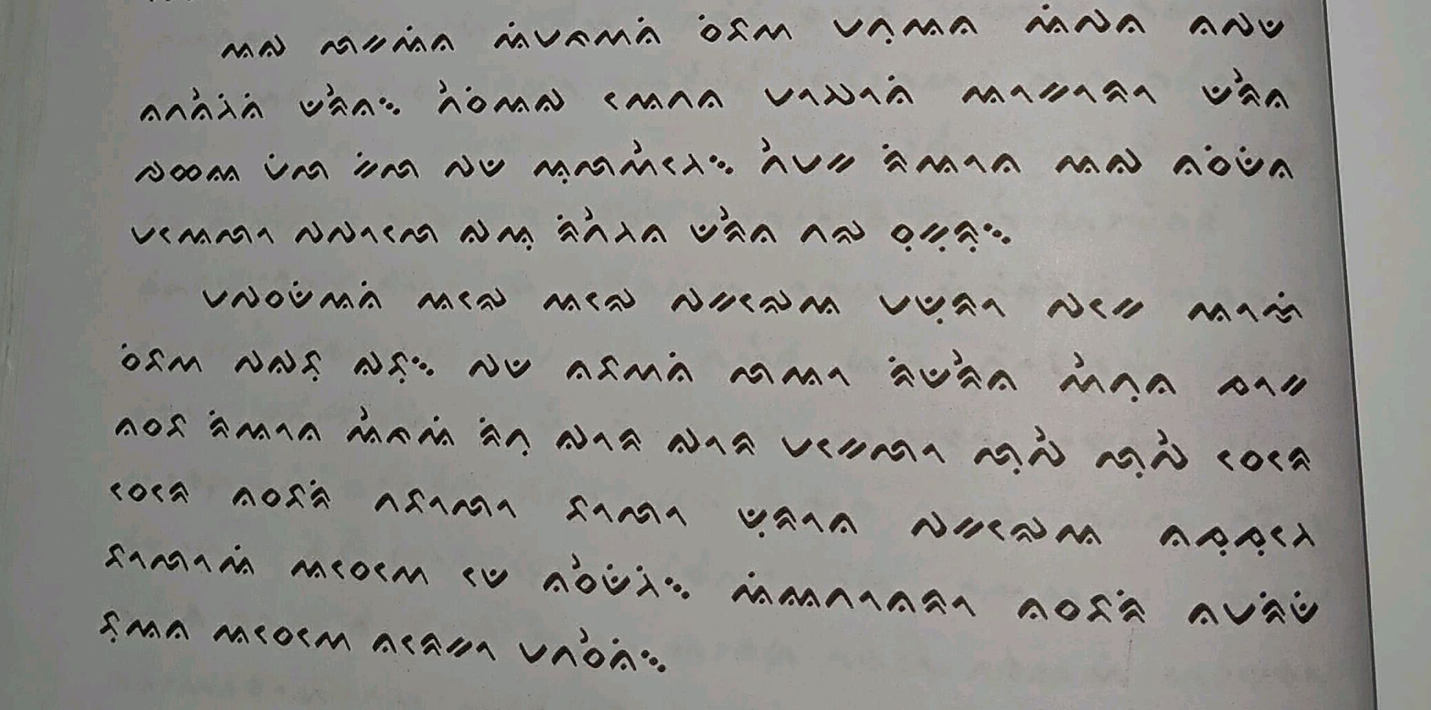The text is not in a recognizable language, | StudyX
