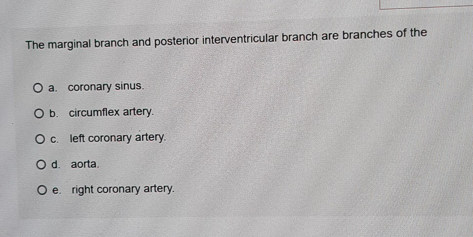 The marginal branch and posterior | StudyX