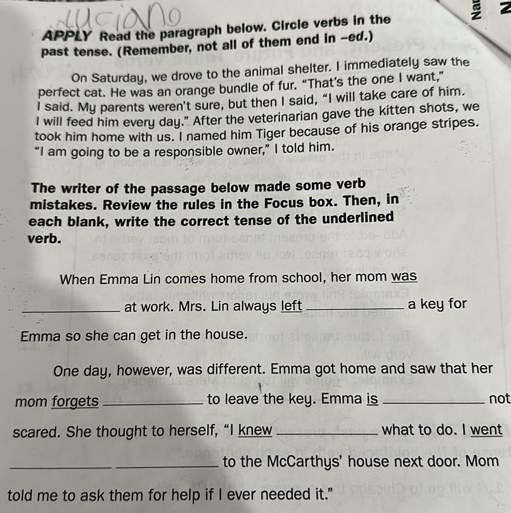 Read the paragraph below. Circle verbs in | StudyX