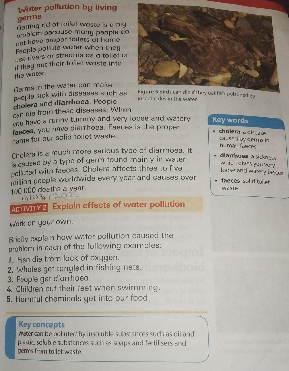 Briefly explain how water pollution caused | StudyX