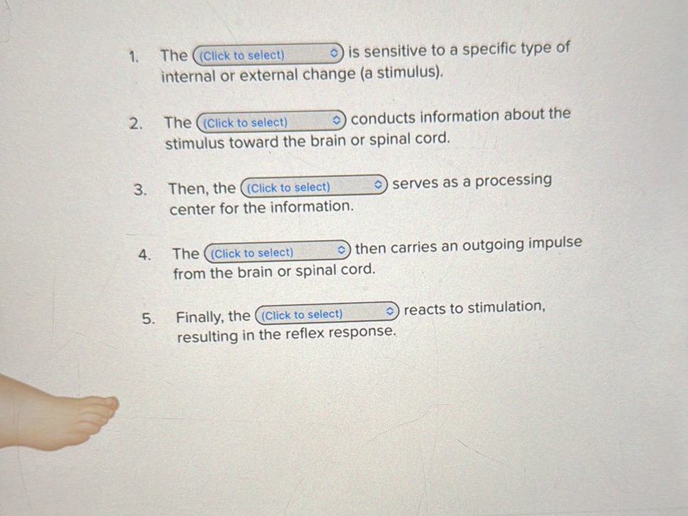 1. The (Click to select) is sensitive to a | StudyX