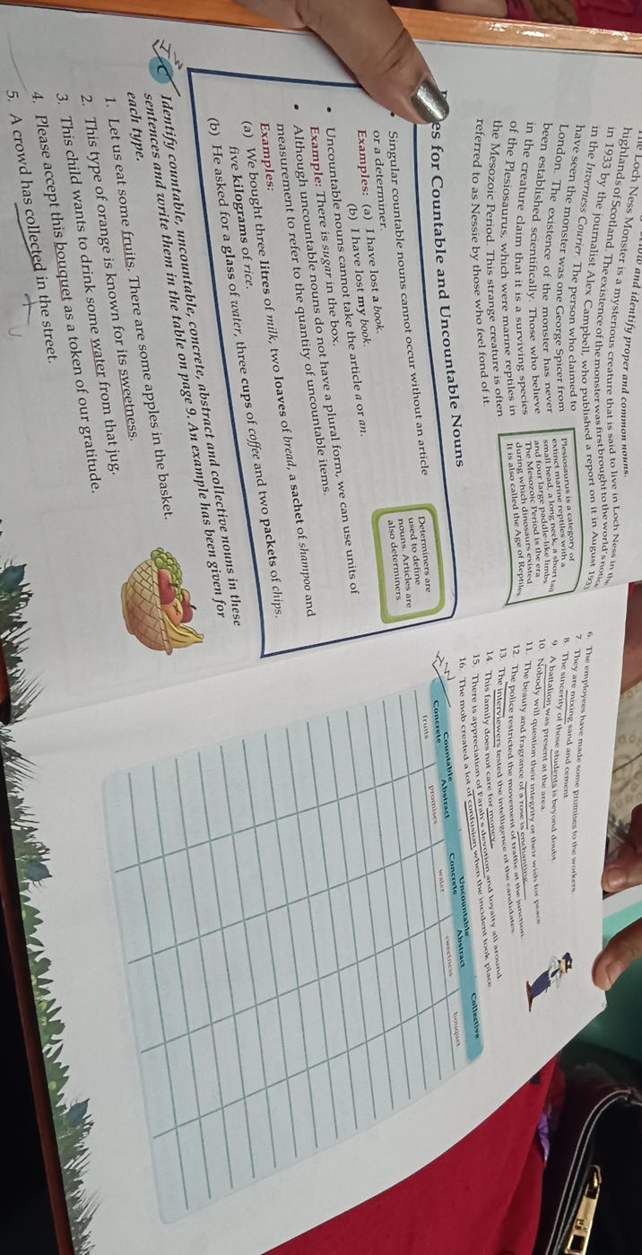 Identify countable, uncountable, concrete, | StudyX