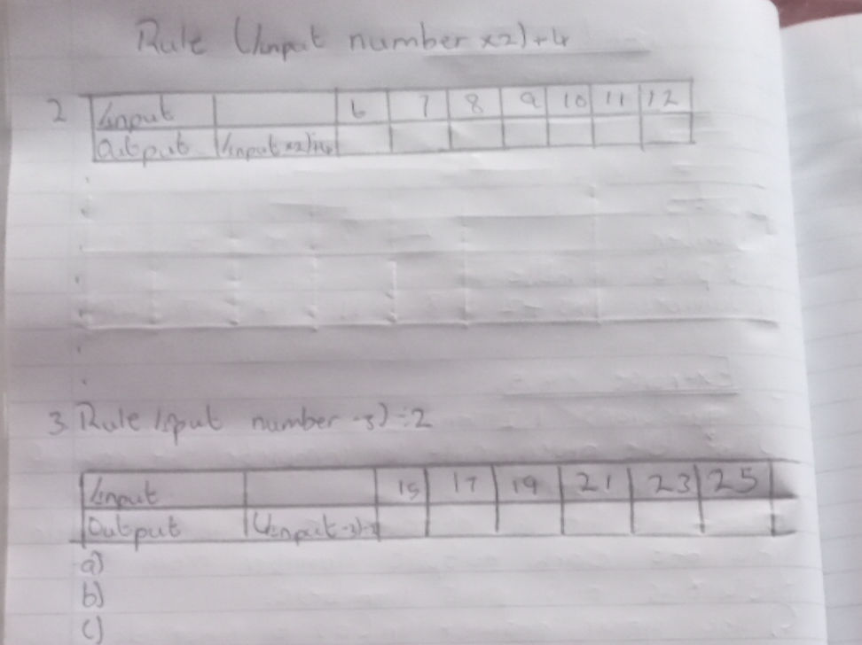 2. Rule: Input number * 2 + 4 | Input | 6 | | StudyX