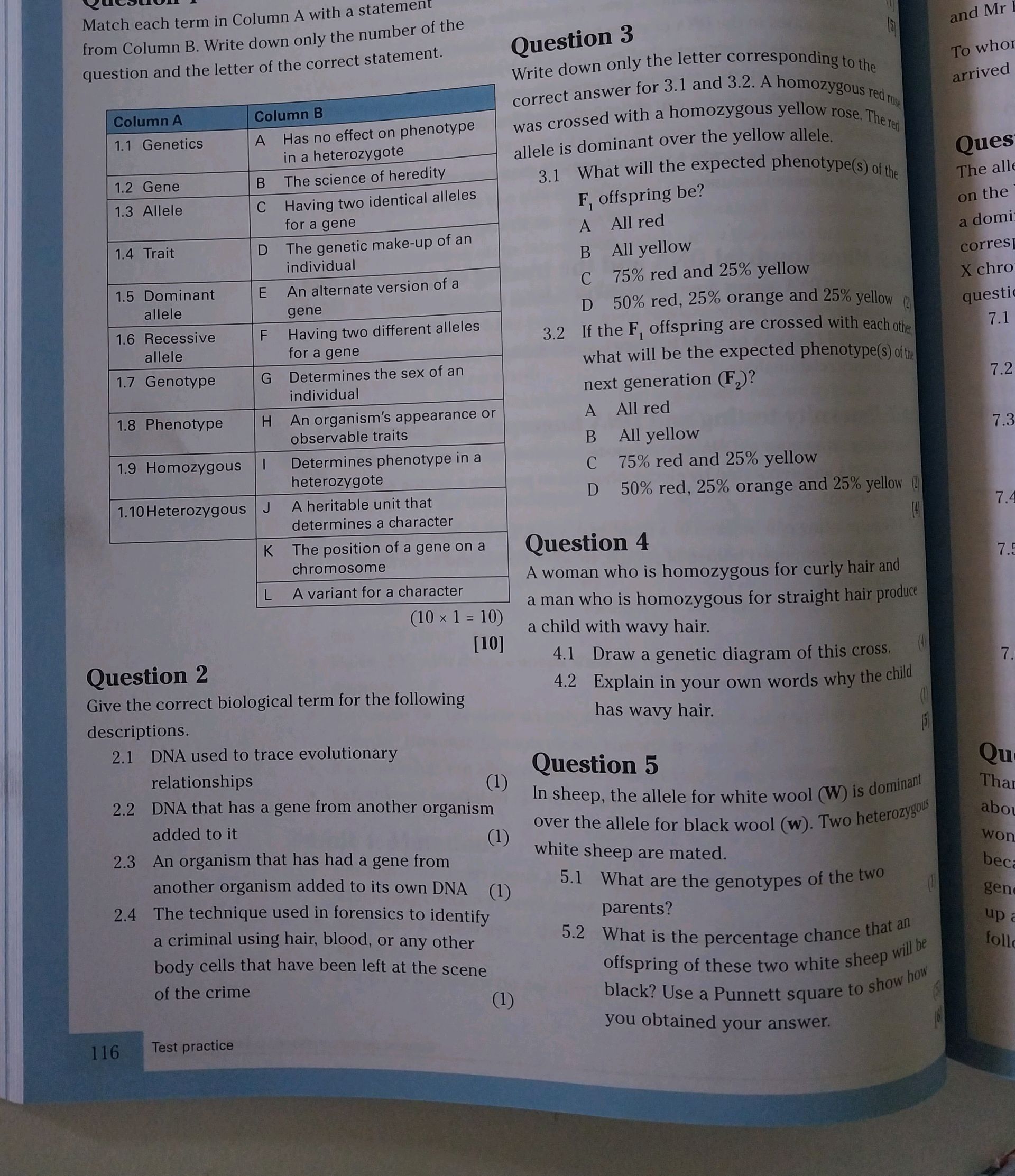 Match each term in Column A with a statement | StudyX
