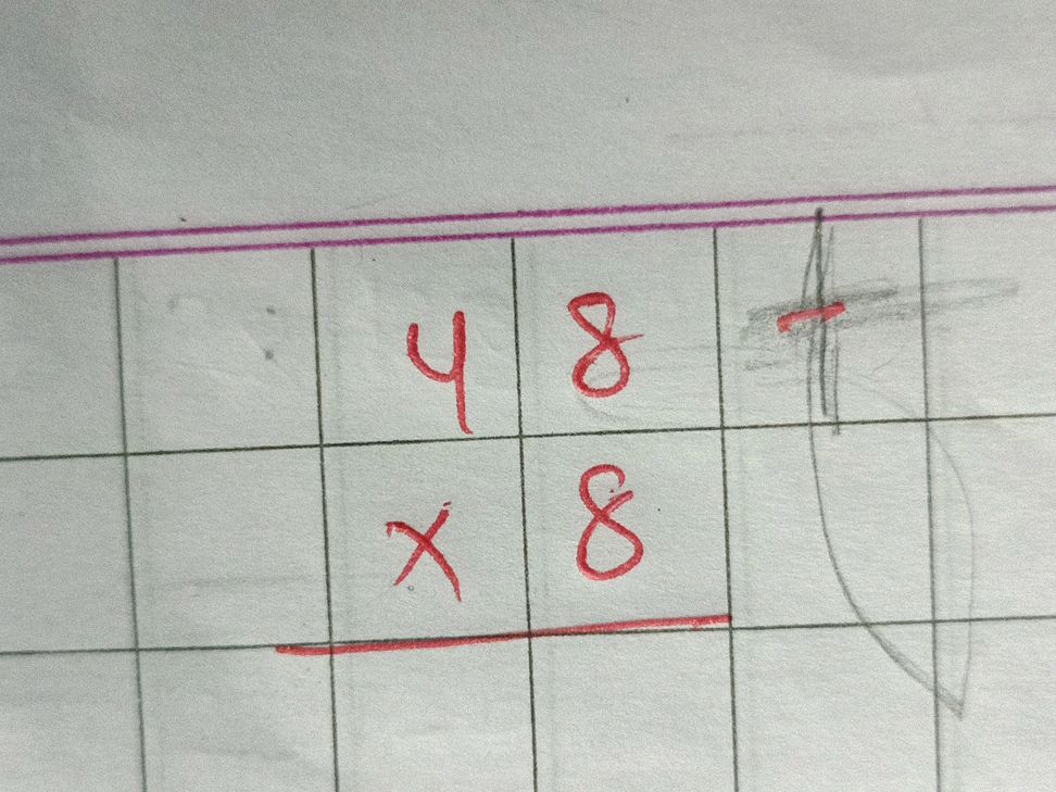 Multiplication: 48 x 8 | StudyX