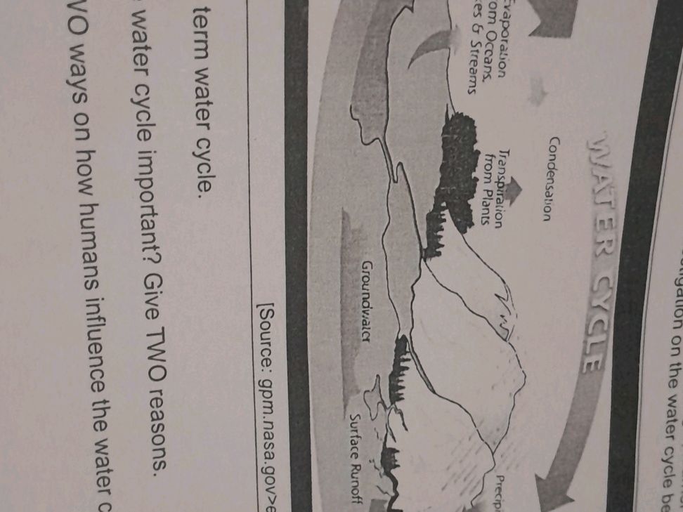 Define the term water cycle. Why is the | StudyX