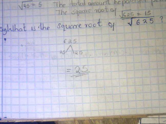 What is the square root of $ {625}$? $ | StudyX