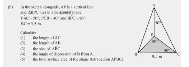 In the sketch alongside, AP is a vertical | StudyX