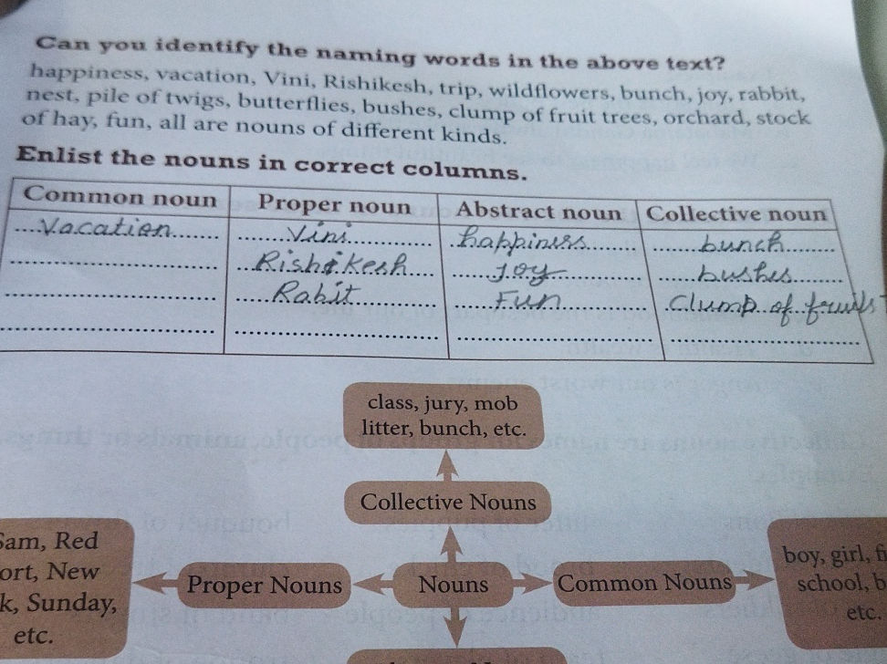 Can you identify the naming words in the | StudyX