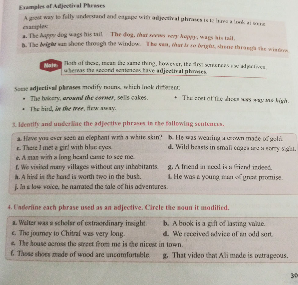 3. Identify and underline the adjective | StudyX