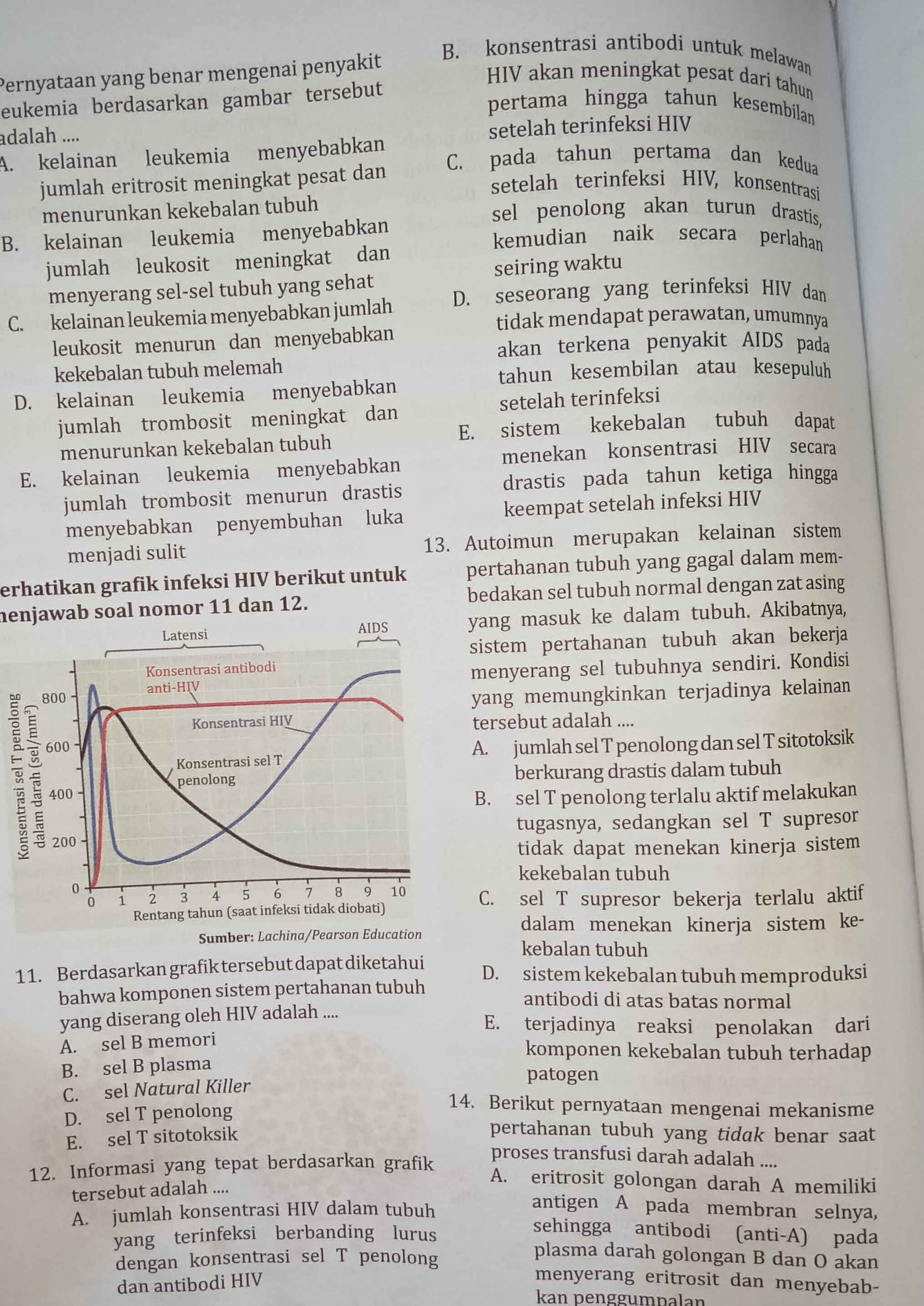 11. Berdasarkan grafik tersebut dapat | StudyX