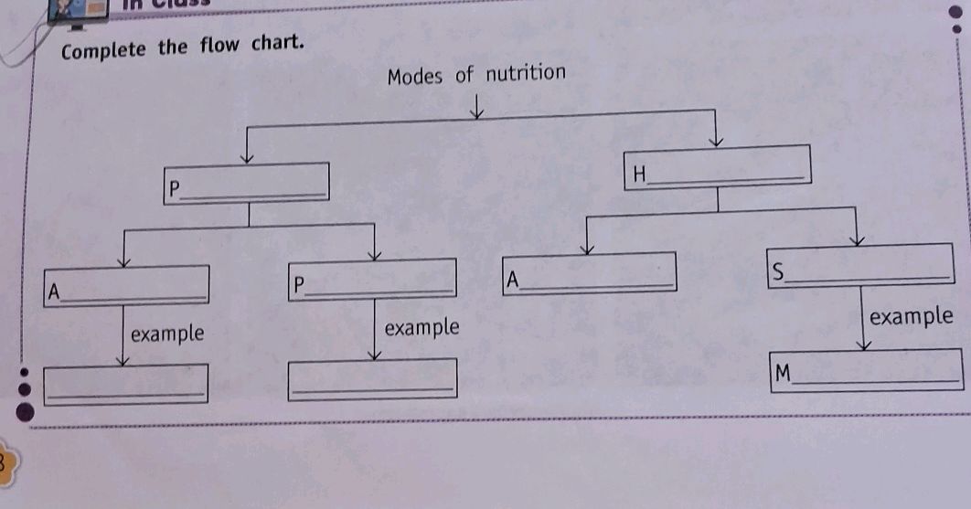 Complete the flow chart. Modes of nutrition | StudyX