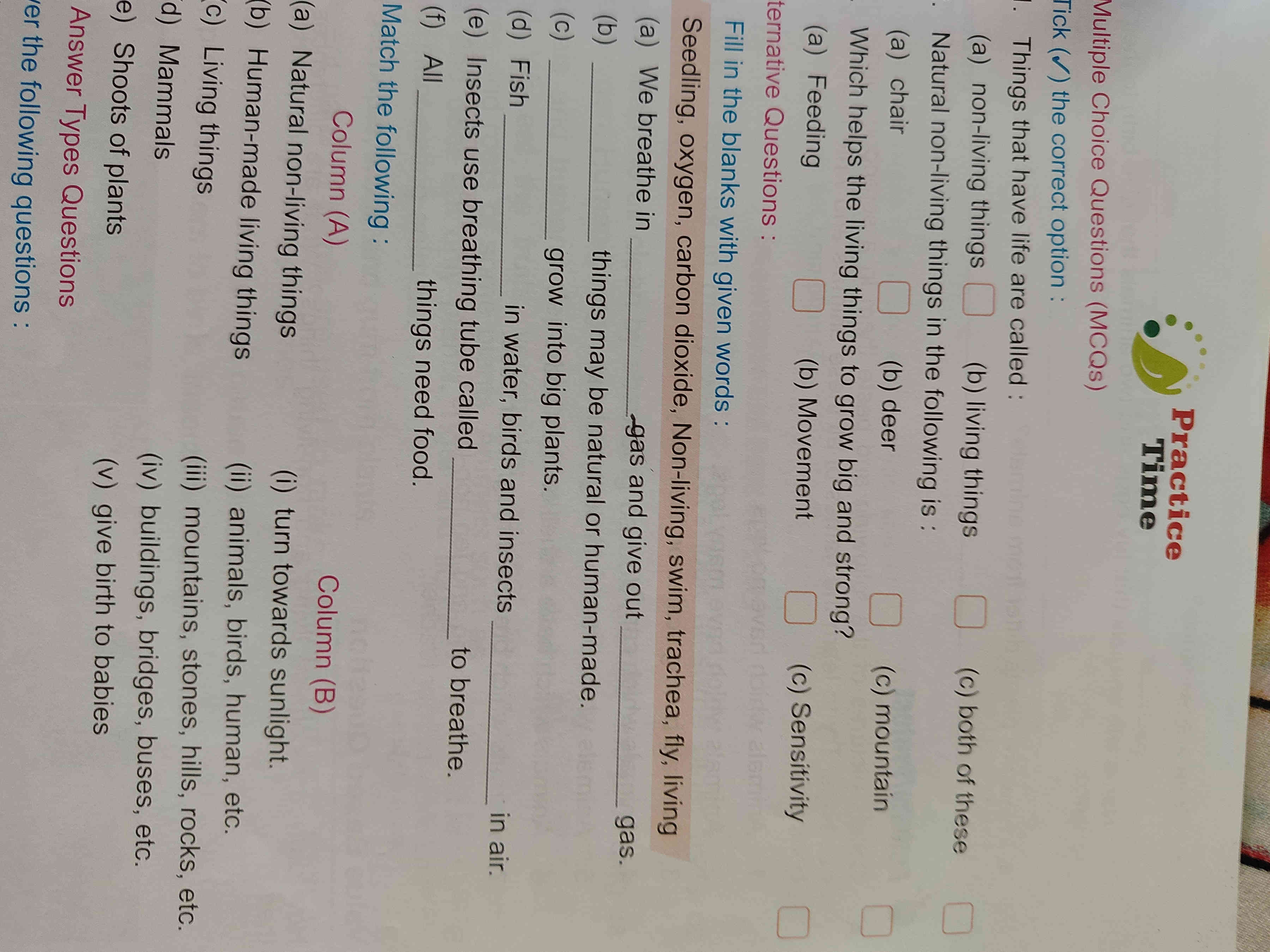 Multiple Choice Questions (MCQs) Tick ( ) | StudyX