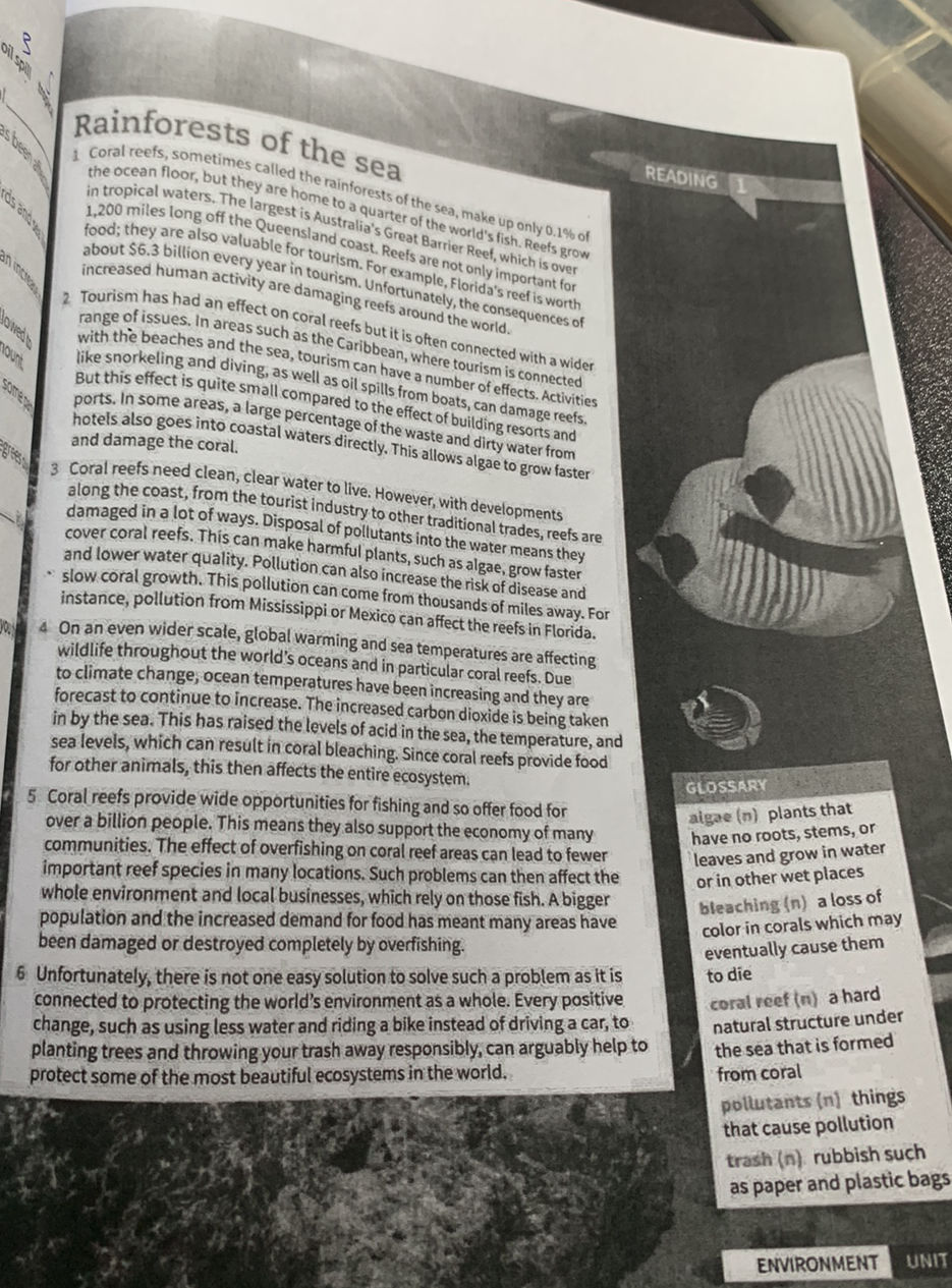 Read Rainforests of the sea again and answer | StudyX