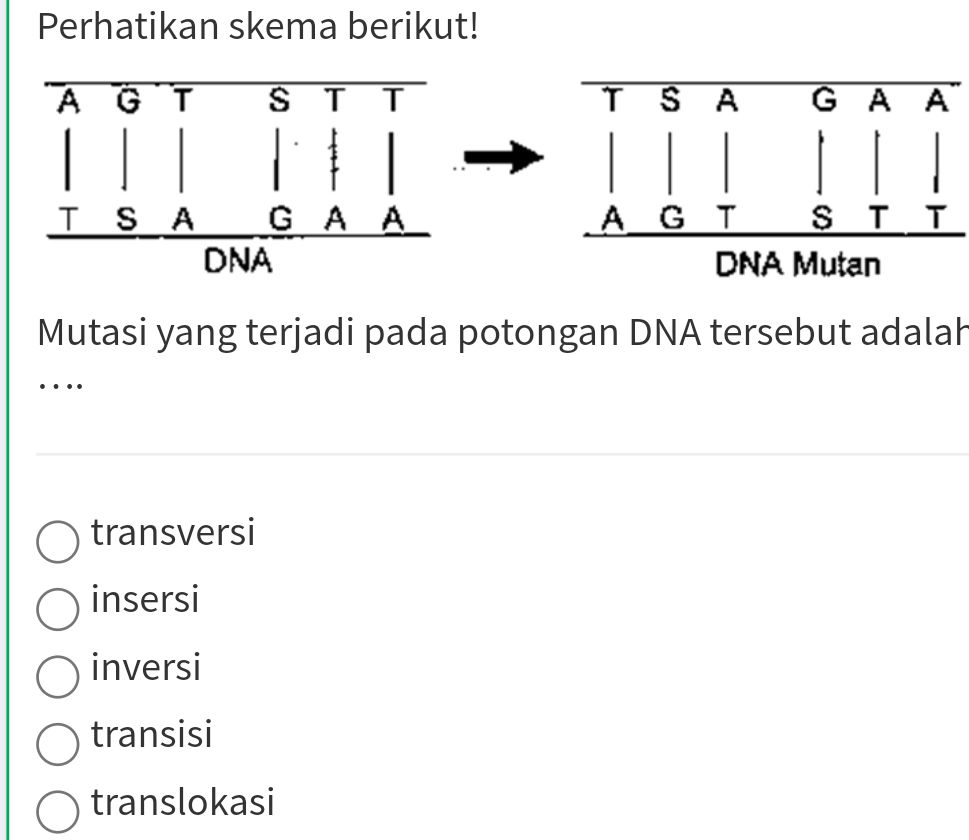 Perhatikan skema berikut! ``` AGT STT | | | | StudyX