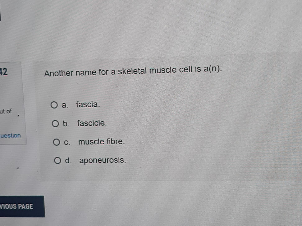 Another name for a skeletal muscle cell is | StudyX