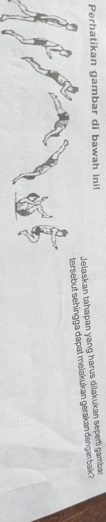 Perhatikan gambar di bawah ini! Jelaskan | StudyX