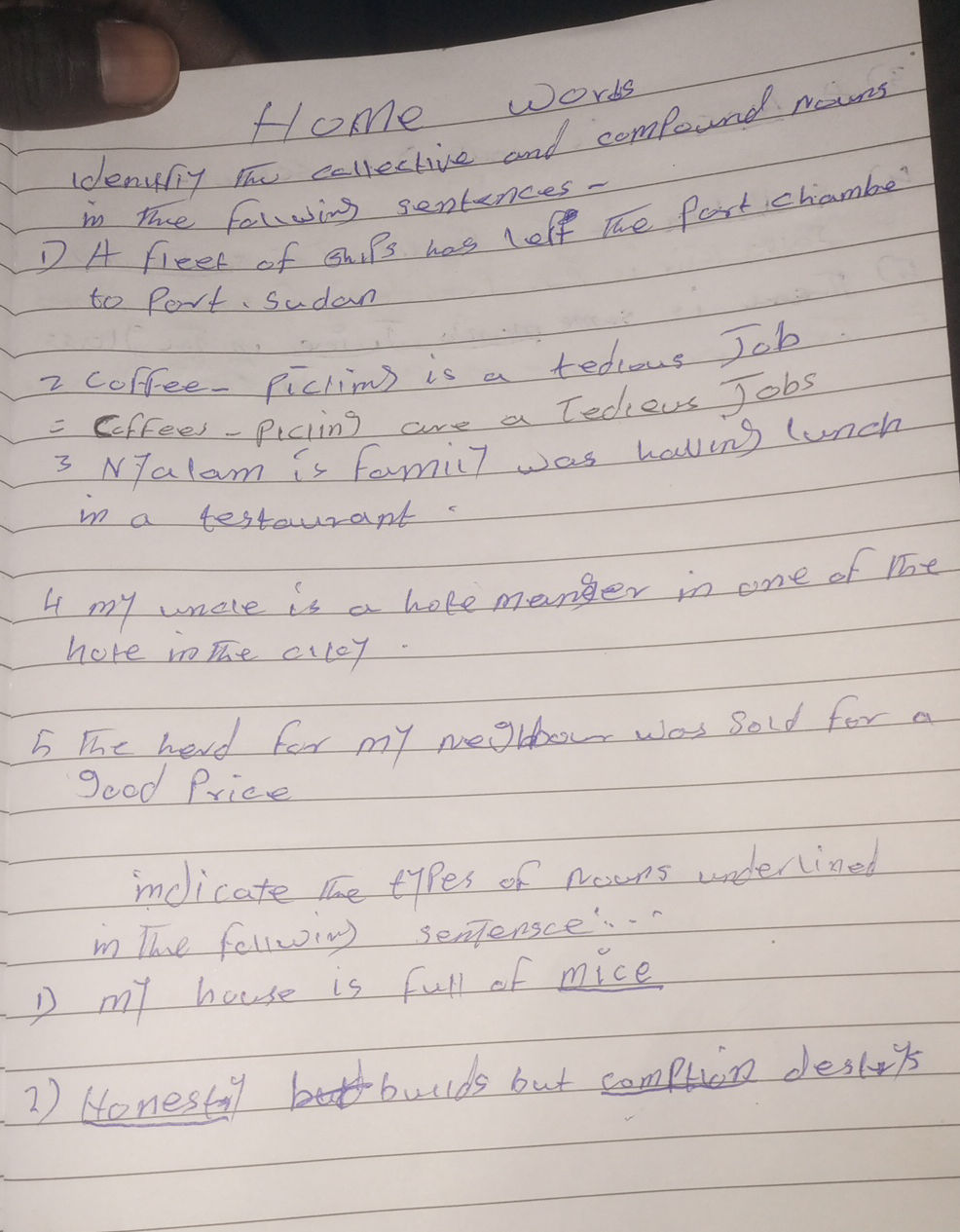 Identify the collective and compound nouns | StudyX