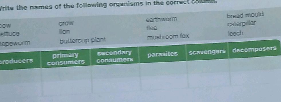 Write the names of the following organisms | StudyX