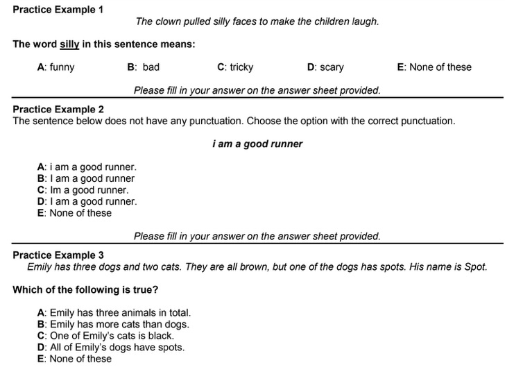 Practice Example 1 The clown pulled silly | StudyX