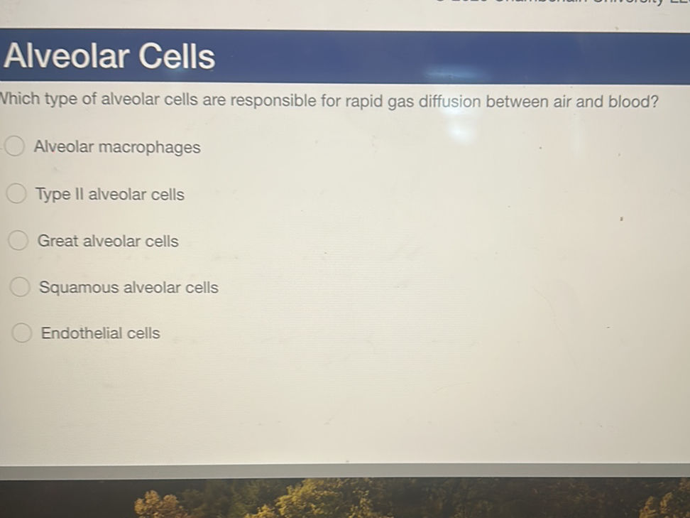 Which type of alveolar cells are responsible | StudyX