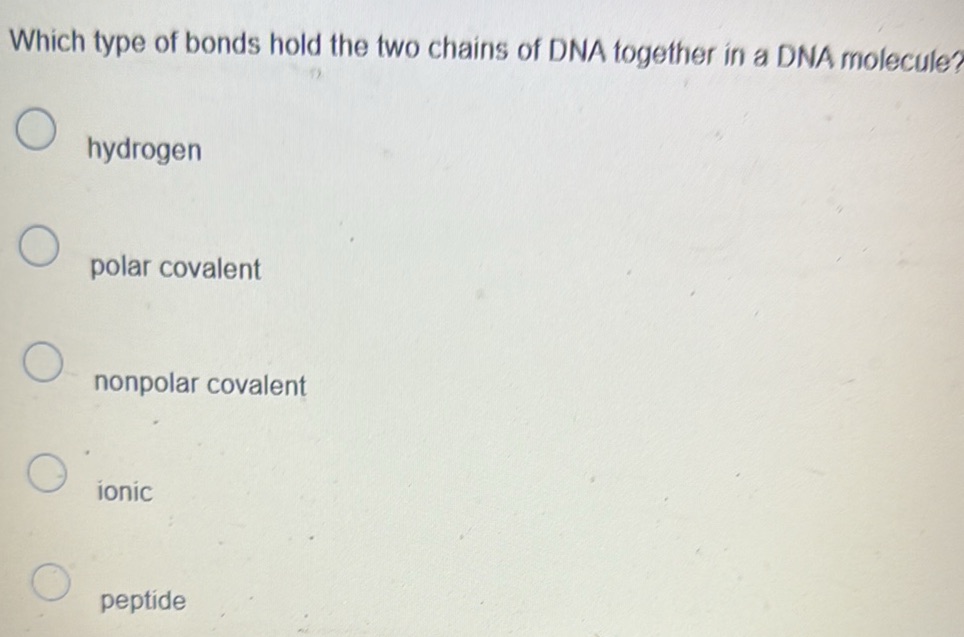 Which type of bonds hold the two chains of | StudyX