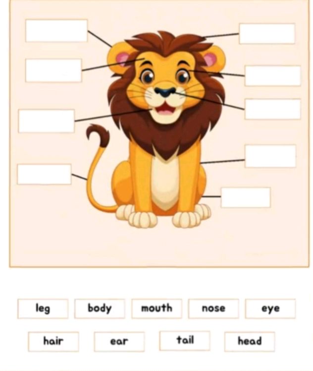 Label the parts of the lion. leg body mouth | StudyX