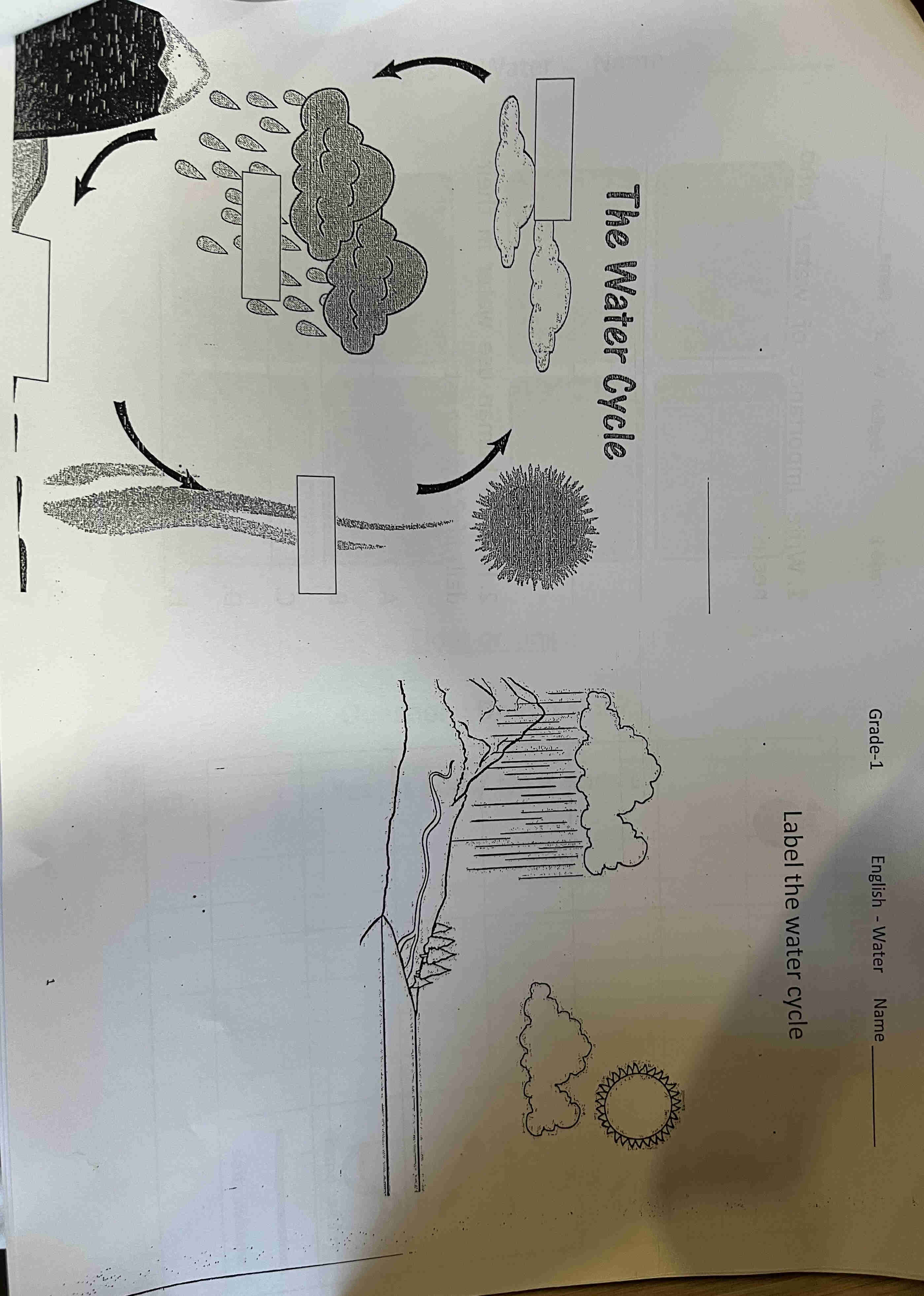 Label the water cycle. The image shows a | StudyX