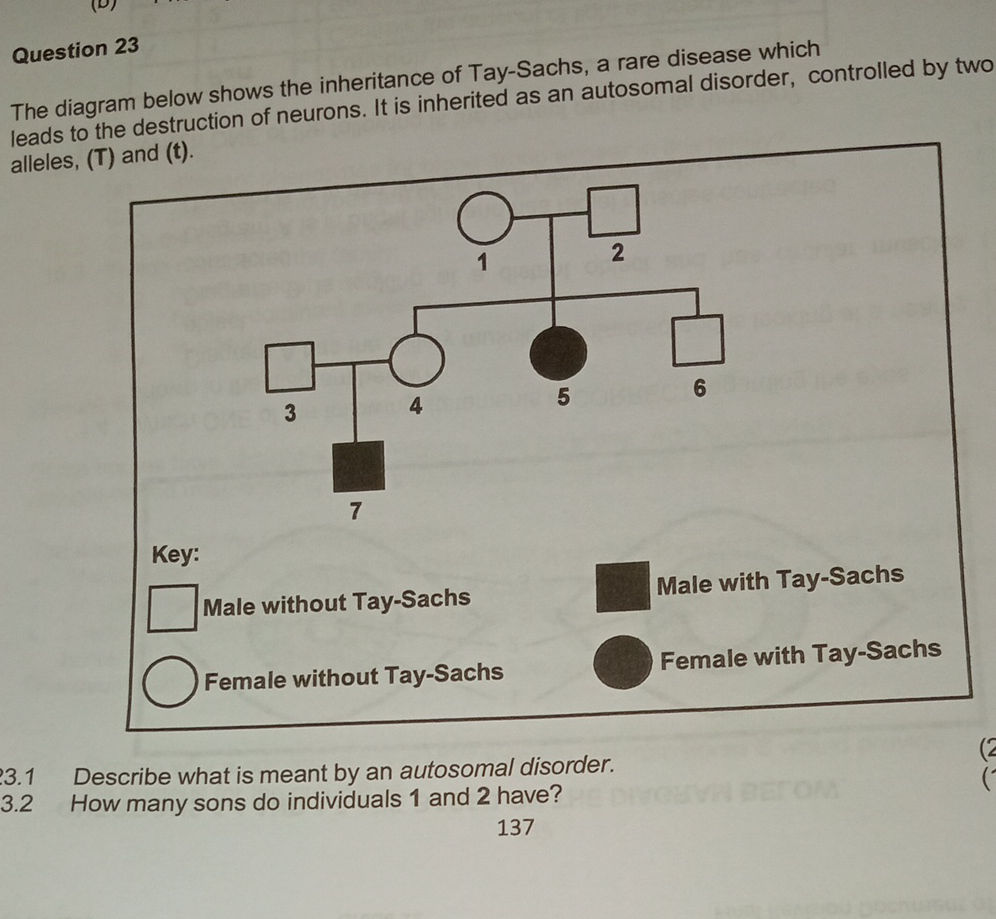 Question 23 The diagram below shows the | StudyX