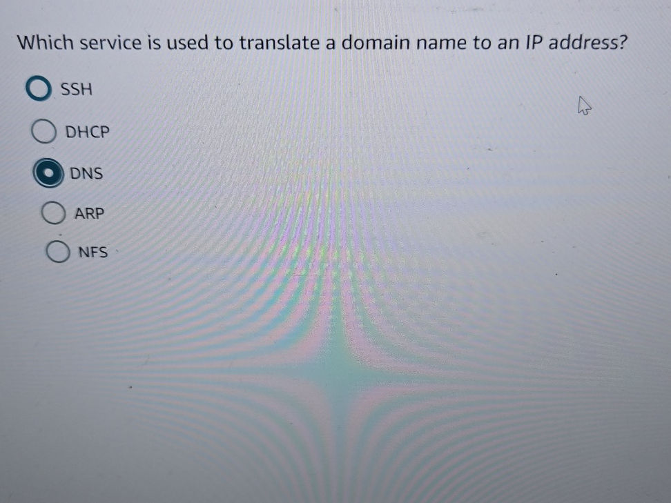 Which service is used to translate a domain | StudyX