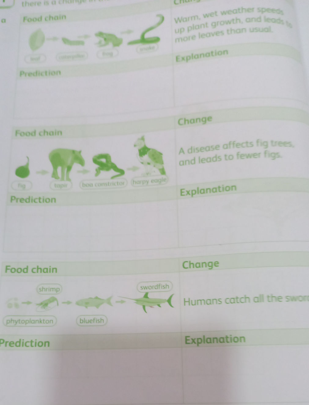 Food chain leaf -> caterpillar -> frog -> | StudyX