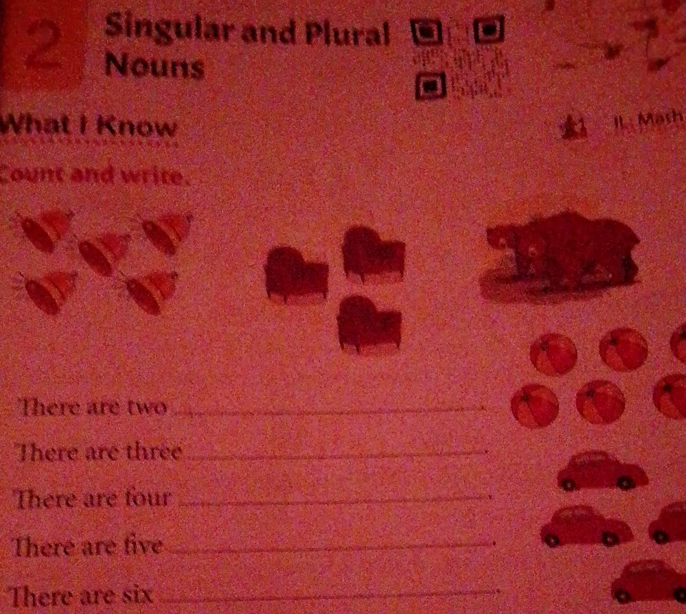 Count and write. There are two ______ There | StudyX