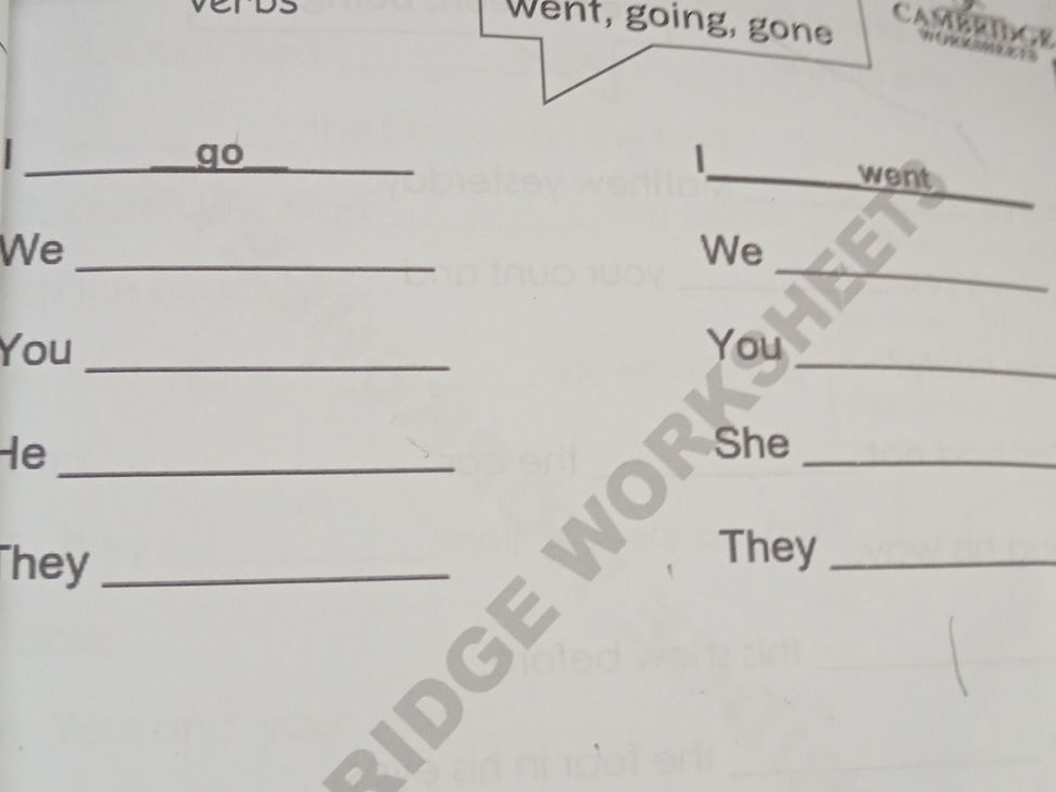 Complete the sentences with the correct form | StudyX