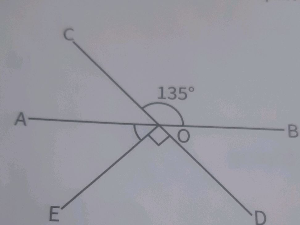 The image shows intersecting lines. One | StudyX