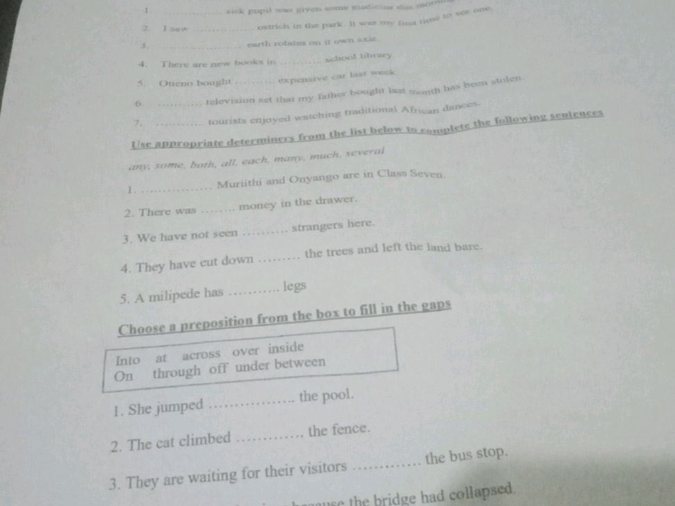 Use appropriate determiners from the list | StudyX