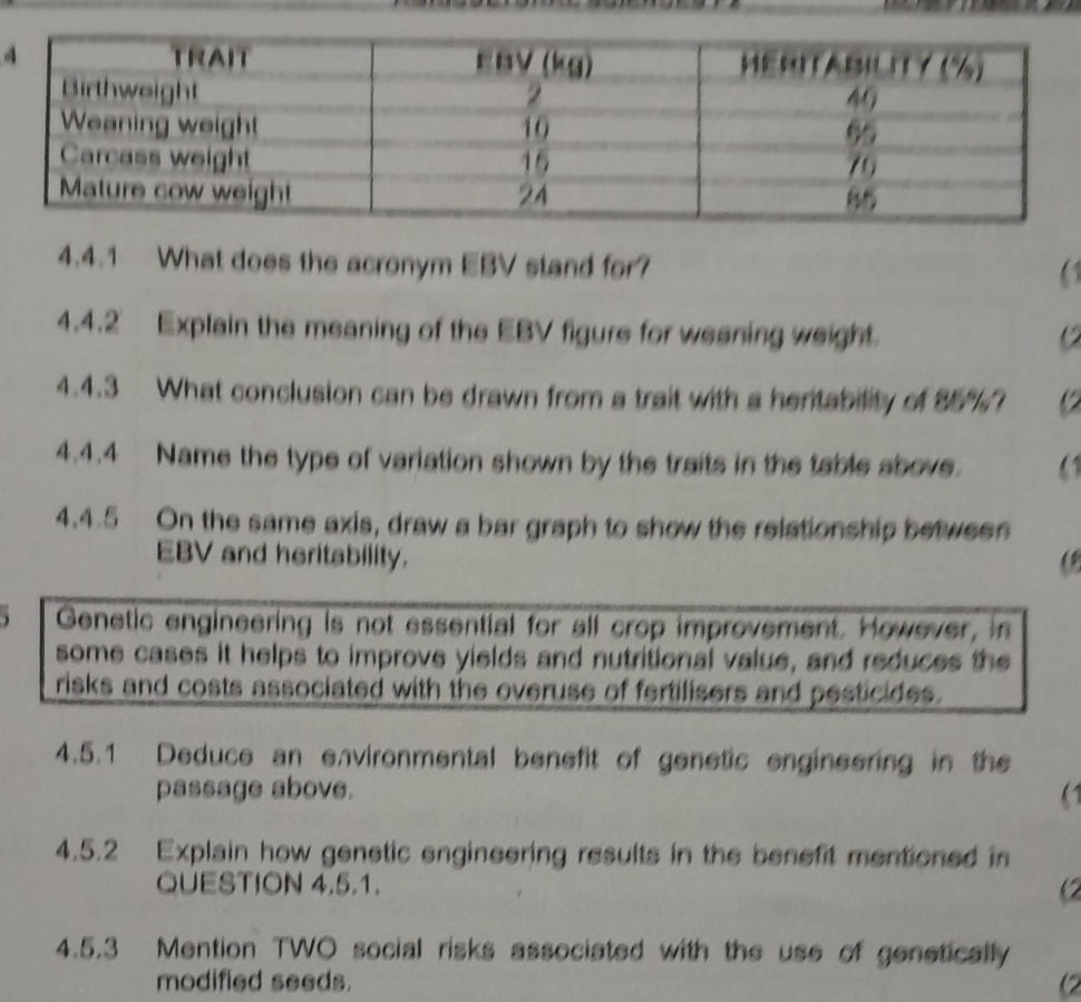 TRAIT | EBV (kg) | | StudyX