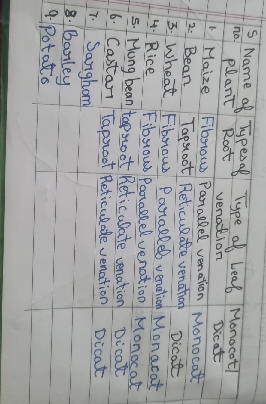 | no. | Name of Plant | Types of Root | Type | StudyX