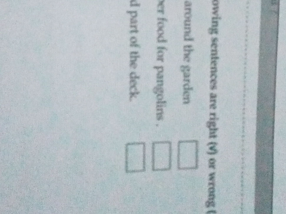 owing sentences are right (V) or wrong | StudyX