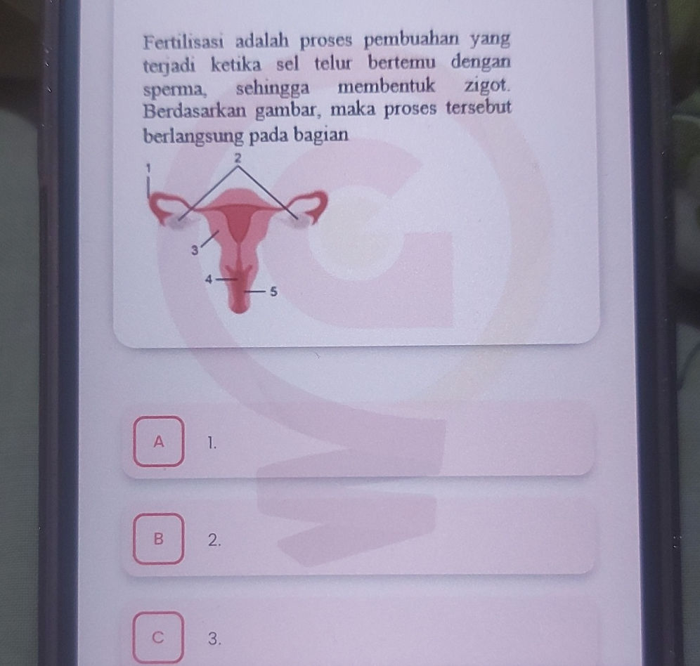 Fertilisasi adalah proses pembuahan yang | StudyX