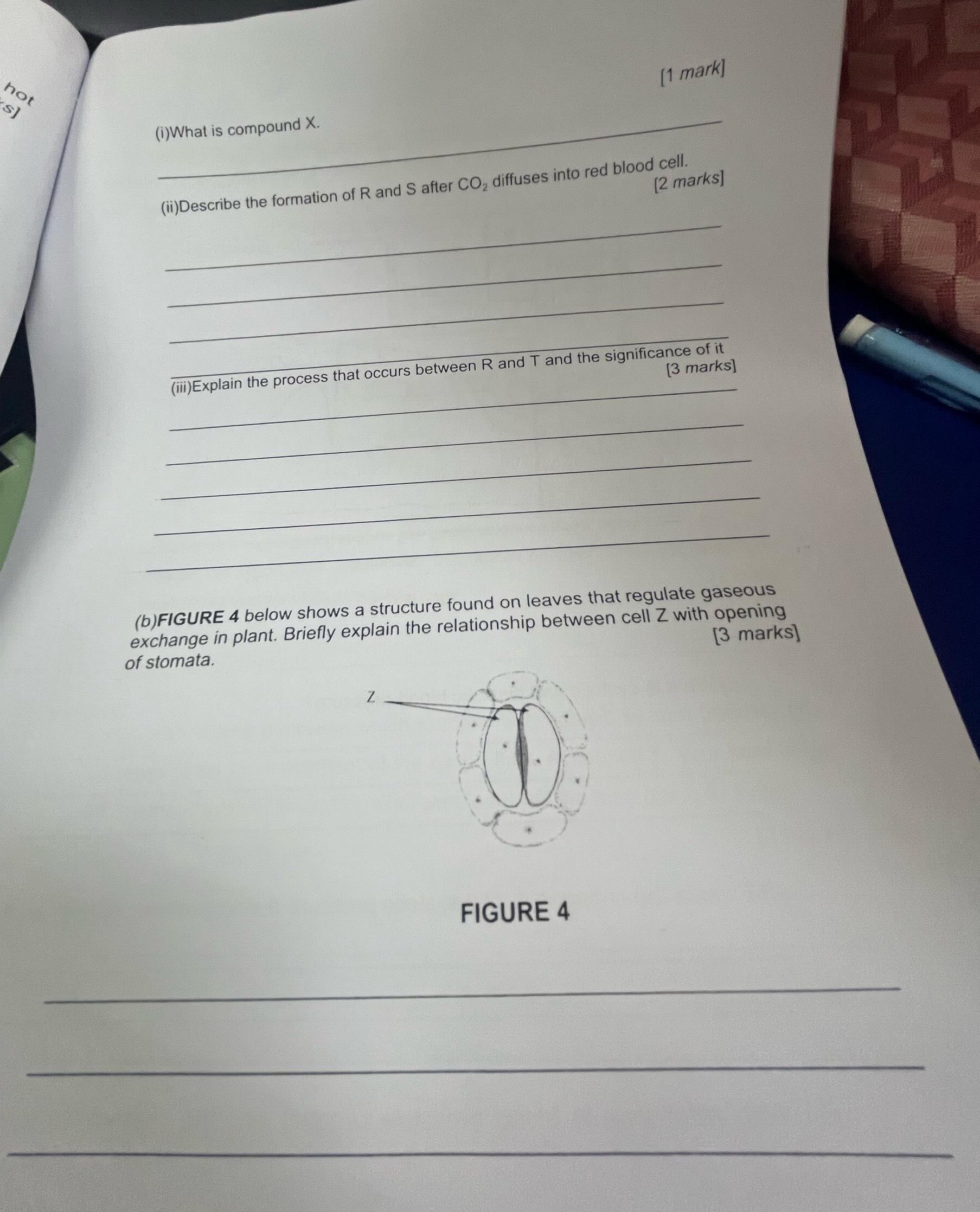 (i)What is compound X. (ii)Describe the | StudyX
