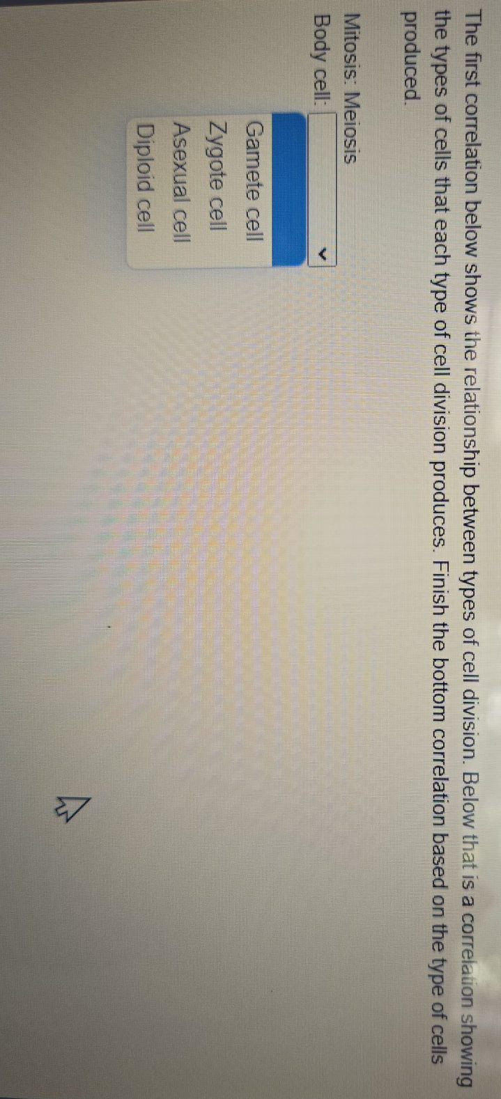 The first correlation below shows the | StudyX