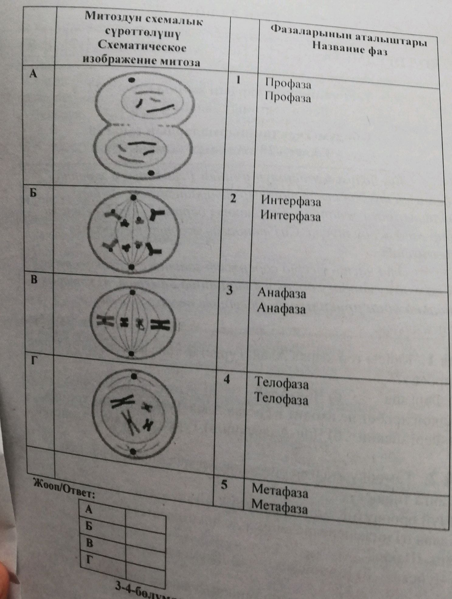 The image shows a table with diagrams of | StudyX